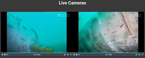 Monitoring Environmental Conditions Near Underwater Datacenters Using Deep Learning Microsoft