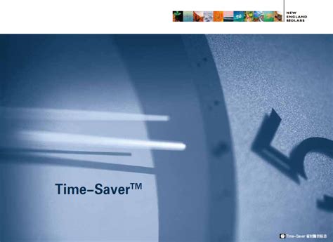 Neb Hf 高保真内切酶：杜绝星号活性