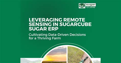 Leveraging Remote Sensing In Sugarcube Sugar Erp Sugar Cube Erp
