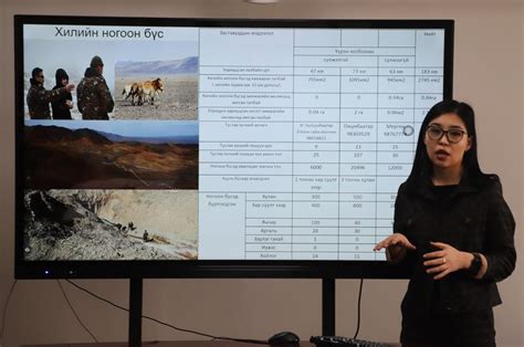 БАЙГАЛИЙН НӨӨЦ АШИГЛАСНЫ ТӨЛБӨРИЙН ТУХАЙ ХУУЛИЙН ХЭРЭГЖИЛТИЙГ САЙЖРУУЛНА