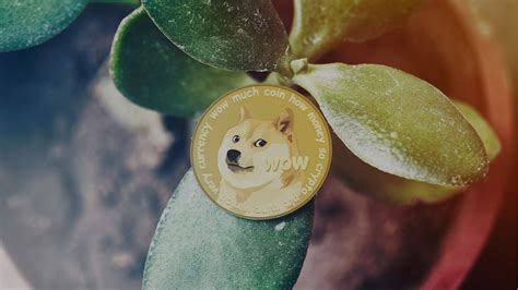 10 Cara Investasi Dan Trading Memecoin Yang Tepat Di Era Meme