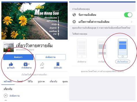 แจกฟรีที่พักเชียงดาว The Campian Travel A Lot Thailand Facebook