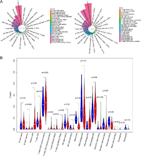 Immune Cell Differential Analysis A Proportion Of 22 Types Of Download Scientific Diagram