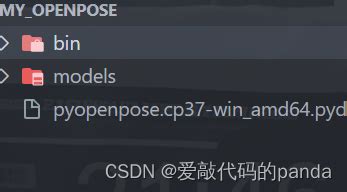 OpenPose安装与常见错误解决：深度学习人体姿势估计的Python实战,-CSDN博客