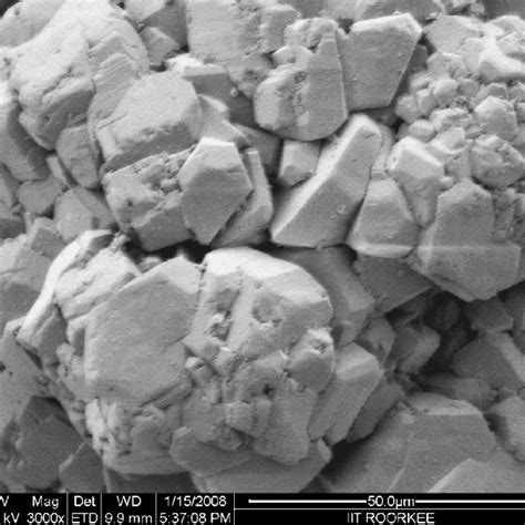 Scanning Electron Micrograph Of Blank Alumina Download Scientific