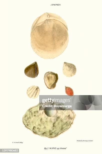 Mawe Photos And Premium High Res Pictures Getty Images