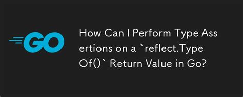 How Can I Perform Type Assertions On A `reflecttypeof` Return Value