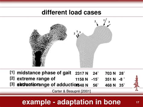 Ppt 12 Finite Element Method Powerpoint Presentation Id 5648247