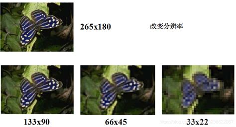 图像的生成、表示及像素间的基本关系线对和像素的关系 Csdn博客