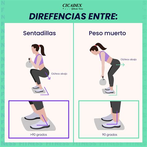Cicadex Fitness ¿sabés La Diferencias De Las Sentadillas Facebook