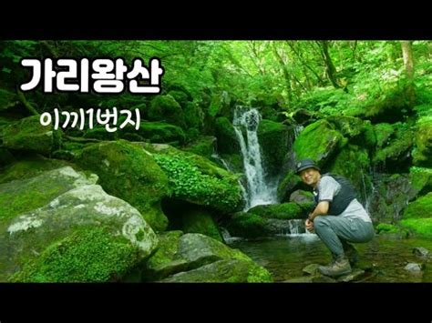 가리왕산 중봉 수암분교 원시림코스 이끼계곡 최고 여름산행지 YouTube