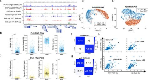 co profiling polii and rna at single cell level using h1 and 293 t