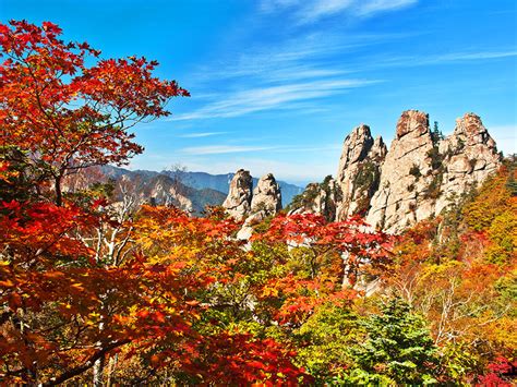 가을 단풍 여행 국내 단풍 관광 명소 Top