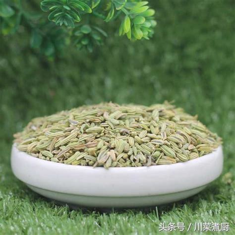 在餐桌上吃了這麼多年的大小茴香和孜然它們的區別你未必清楚 每日頭條
