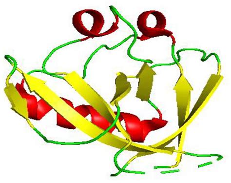 crystal structure of sars cov 2 nsp1 globular domain cartoon