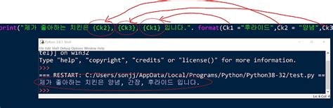 파이썬 3장문자열 Format 형식 Print 변수 Sep End 제어문자