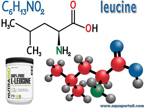 Leucine Structure Leucine - structure, benefits, properties, function