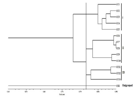 upgma clustering based dendrogram of colletotrichum capsici isolates