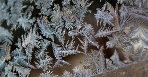 Frost Imgur