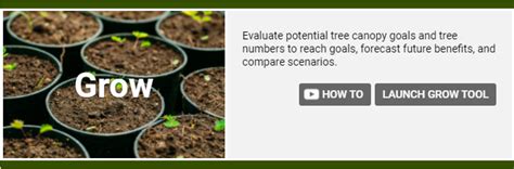 treeplotter canopy overview treeplotter support