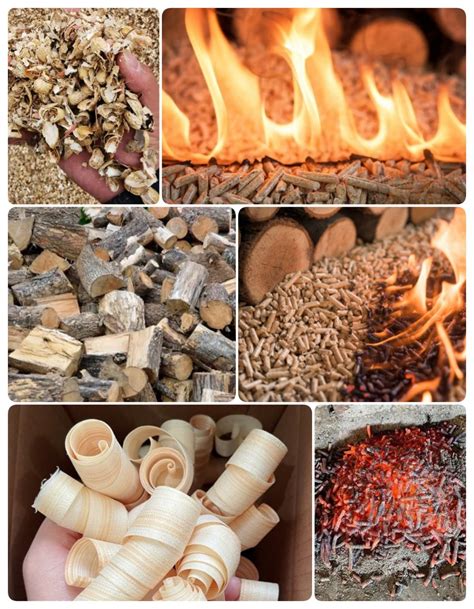 Kg H Biomass Wood Sawdust Rice Peanut Coconut Husk Straw Biomass Wood Pelletizer Wood