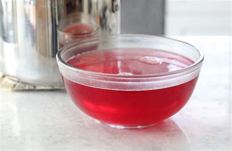 Cranberry Raspberry And Apple Drink Russian Kompot 1 9 Copy Olga S