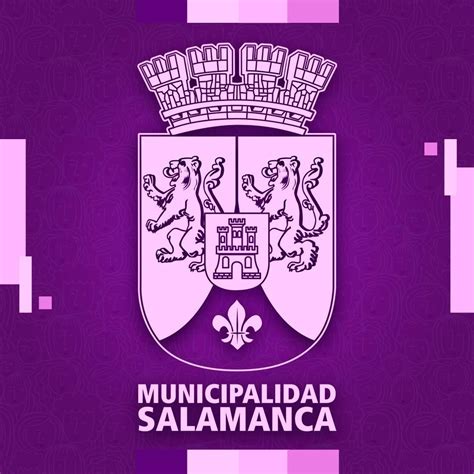 Concejo Municipal Petorca SesiÓn Ordinaria N°13 24 De Marzo 2025