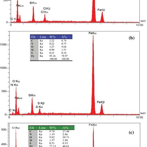 the sem images and the elemental maps of fe3o4 sio2 nh ccl at cu ii