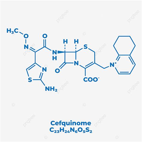 Molecular Structure Vector Design Images The Molecular Structure Of Cefquinome Cefquinome