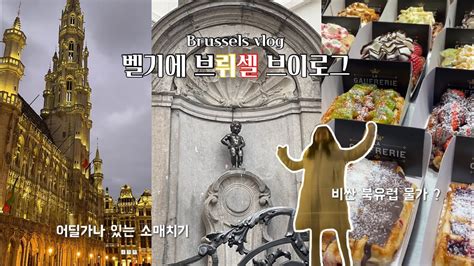물가 비싼 북유럽 체험기ㅣ어딜가나 있는 소매치기범 🤦🏻‍♀️ㅣ오줌싸개 동상 그랑플라스 벨기에 초콜릿 와플ㅣ벨기에 브뤼셀 Vlog 🇧🇪 Youtube