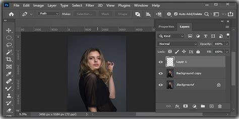Masking Hair In Photoshop Cc In 5 Basic Steps