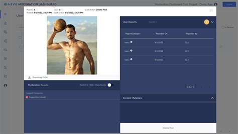 submit reported posts and users