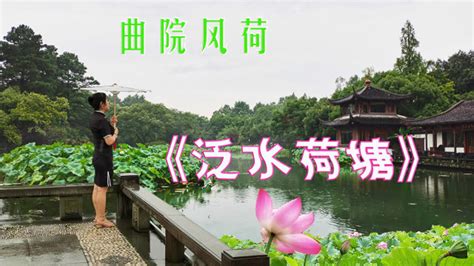 泛水荷塘 搜狗百科