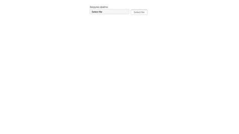 Универсальная стилизация поля File с помощью Css и Jquery