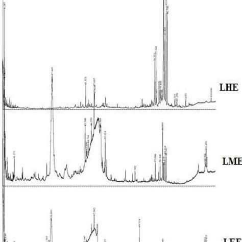 Comparison Between Chromatograms Obtained By Gc Ms Analysis For Parkia Download Scientific