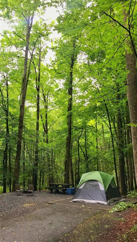 Campers Share Their 9 Favorite Campgrounds In North Carolina Camping