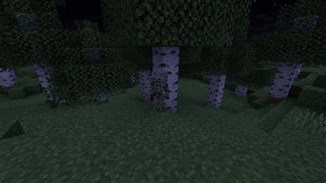 Better Skeletons Pack Optifine Minecraft Texture Pack