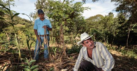 Refuerza Agricultura Acciones Contra Incendios Forestales Y Erosión De