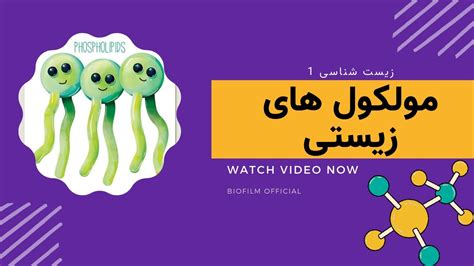 مولکولهای زیستی تدریس فصل اول زیست شناسی دهم جلسه سوم Youtube