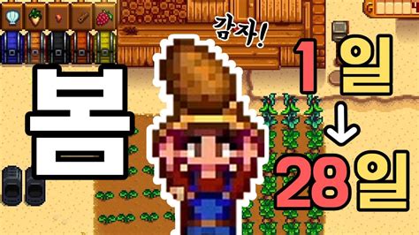 스타듀밸리 1년차 봄 한국인이 좋아하는 속도로 몰아보기 Youtube
