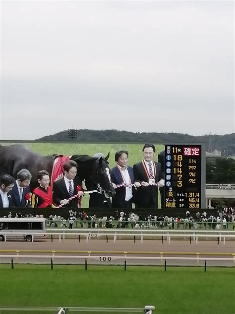 ソングライン 連勝連覇 安田記念 Its Horse Racing