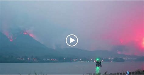 Eagle Creek Fire Why Four Years Later The Trees Still Arent Coming