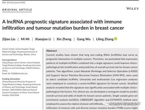 机器学习 支持向量机递归特征消除（svm Rfe）的构建24 云生信