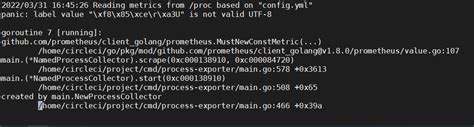 Paniclabel Value Is Not Valid UTF Issue Ncabatoff Process Exporter GitHub