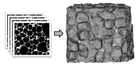 conversion of binary slices to fully processed 3d model download