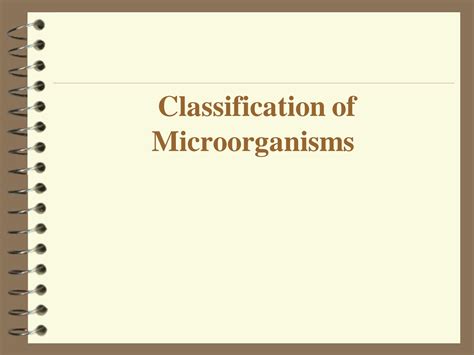 Solution Classification Of Microorganisms Studypool Solution Classification Of Microorganisms Studypool