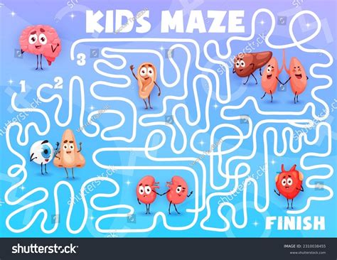 Labyrinth Maze Cartoon Human Organ Characters Stock Vector Royalty
