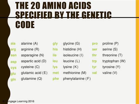 Chapter 9 From Dna To Protein Ppt Download