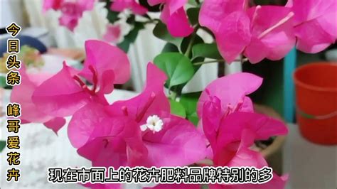真假磷酸二氢钾最快速的辨别方法！简单实用操作方便！ Youtube