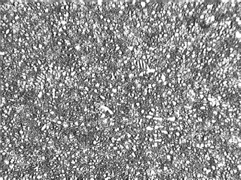The Microstructure Of The Plain Lm24 Aluminum Alloy Download